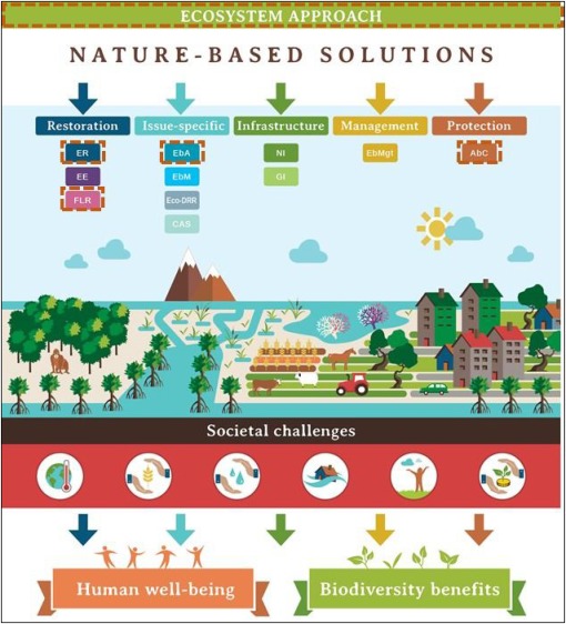 Nature Based Solutions BCIT – School of Construction and Environment